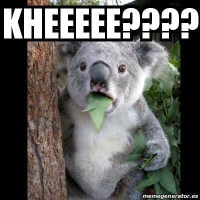 Meme Koala - kheeeee???? - 24700840