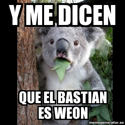 Meme Koala - y me dicen que el bastian es weon - 24701494