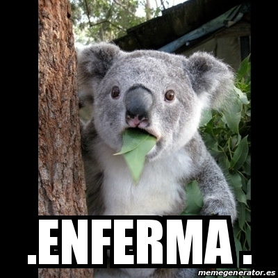 Meme Koala - .Enferma . - 24710183