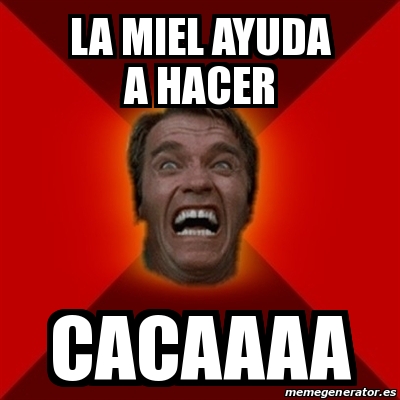 Meme Arnold - La miel ayuda a hacer Cacaaaa - 24734178