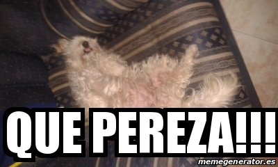 Meme Personalizado - Que pereza!!! - 24735538