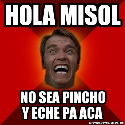 Meme Arnold - HOLA MISOL NO SEA PINCHO Y ECHE PA ACA - 24779474