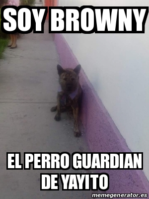 Meme Personalizado - Soy Browny El perro guardian de yayito - 24829502
