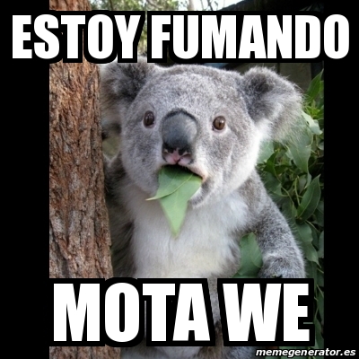 Meme Koala - estoy fumando mota we - 24888794
