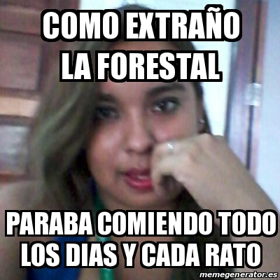 Meme Personalizado - Como extraño la forestal Paraba comiendo todo los dias y cada rato - 24093493