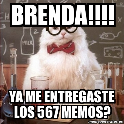 Meme Chemistry Cat - brenda!!!! ya me entregaste los 567 memos? - 24908983