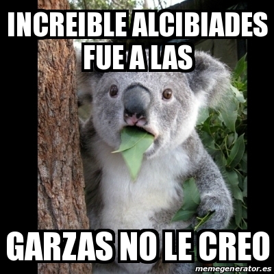 Meme Koala - Increible alcibiades fue a las Garzas no le creo - 24911394