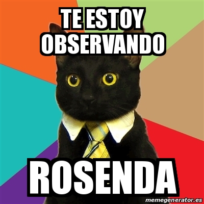 Meme Business Cat - Te estoy observando rosenda - 24924023