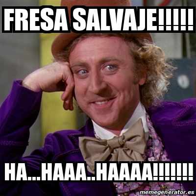 Meme Willy Wonka - fresa salvaje!!!!! ha...haaa..haaaa!!!!!!! - 24927782
