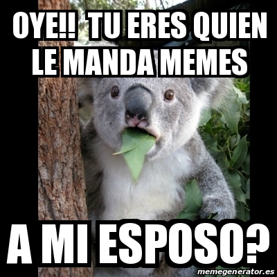 Meme Koala - Oye!! tu eres quien le manda memes A mi esposo? - 24953146