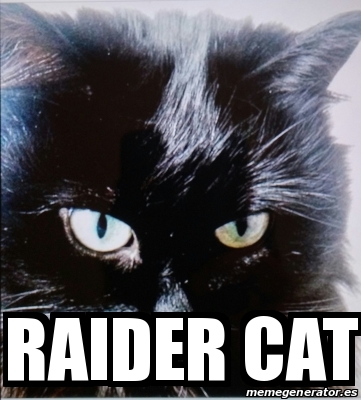 Meme Personalizado - RAIDER CAT - 24966363