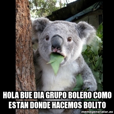 Meme Koala - Hola bue dia grupo bolero como estan donde hacemos bolito ...