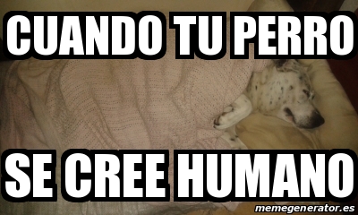 Meme Personalizado - Cuando tu perro Se cree humano - 24982709