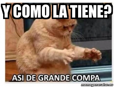Meme Personalizado - Y como la tiene? - 24997081