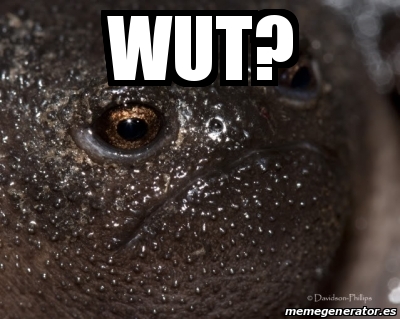Meme Personalizado - wut? - 25008781
