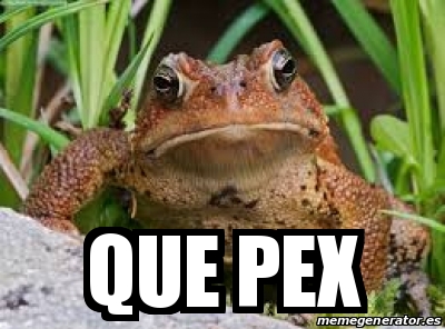 Meme Personalizado - que pex - 25103553