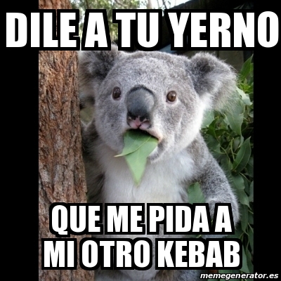 Meme Koala - Dile a tu yerno Que me pida a mi otro kebab - 25134278