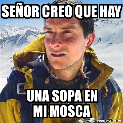 Meme Bear Grylls - SeÃ±or creo que hay una sopa en mi mosca - 25136430