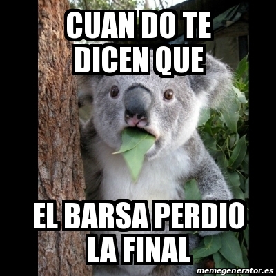 Meme Koala - cuan do te dicen que el barsa perdio la final - 25137412