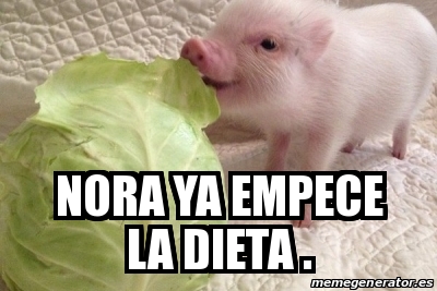 Meme Personalizado - nora ya empece la dieta . - 25162746