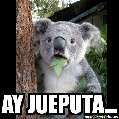 Meme Koala - Ay jueputa... - 25170141
