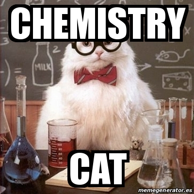 Meme Chemistry Cat - chemistry cat - 25176806
