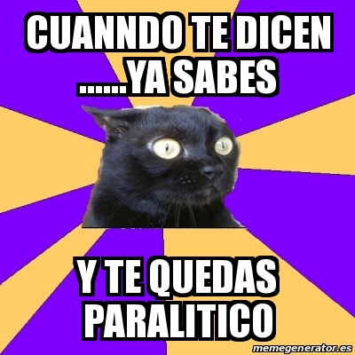 Meme Anxiety Cat - cuanndo te dicen ......ya sabes y te quedas ...