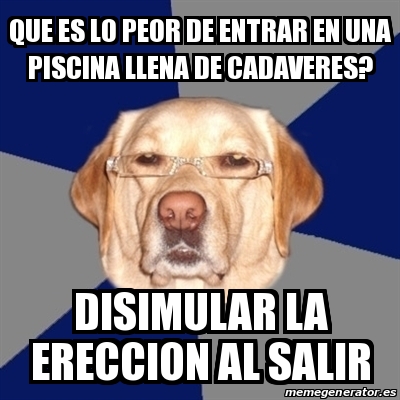 Meme Perro Racista - que es lo peor de entrar en una piscina llena de ...