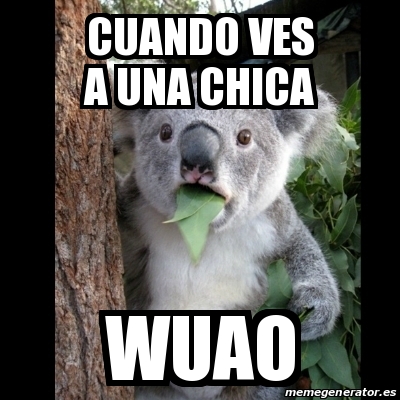 Meme Koala - cuando ves a una chica wuao - 25240908