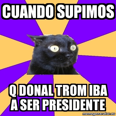 Meme Anxiety Cat - cuando supimos q donal trom iba a ser presidente ...