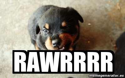 Meme Personalizado - rawrrrr - 25267178