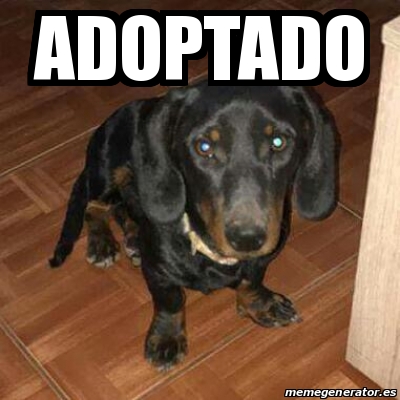 Meme Personalizado - Adoptado - 25285987