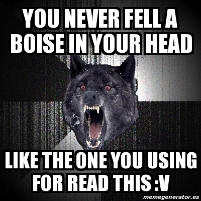Meme Insanity Wolf - you never fell a boise in your head like the one ...