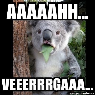 Meme Koala - Aaaaahh... Veeerrrgaaa... - 25304950