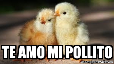 Meme Personalizado - TE AMO MI POLLITO - 25341346