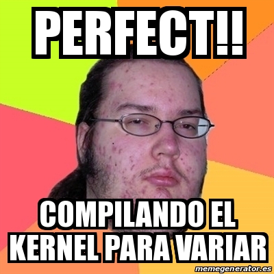 Meme Friki - Perfect!! Compilando el kernel para variar - 25351582