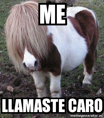 Meme Personalizado - Me Llamaste caro - 25358129
