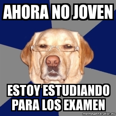 Meme Perro Racista - ahora no joven estoy estudiando para los examen ...