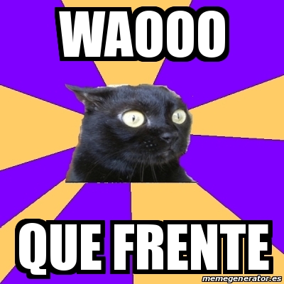 Meme Anxiety Cat - WAOOO QUE FRENTE - 25575391
