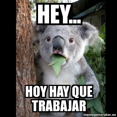 Meme Koala - Hey... Hoy hay que trabajar - 25064218