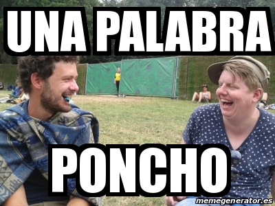 Meme Personalizado - una palabra poncho - 25613050