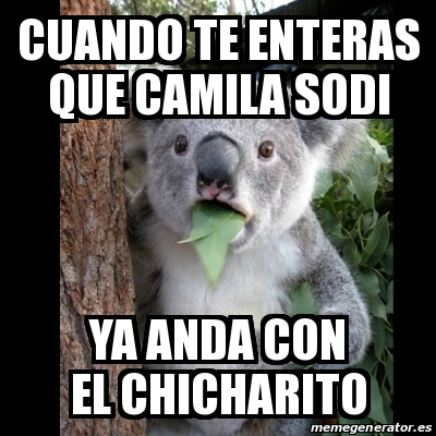 Meme Koala - cuando te enteras que camila sodi ya anda con el ...
