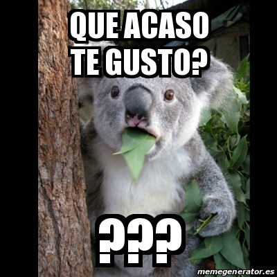 Meme Koala - que acaso te gusto? ??? - 25716201