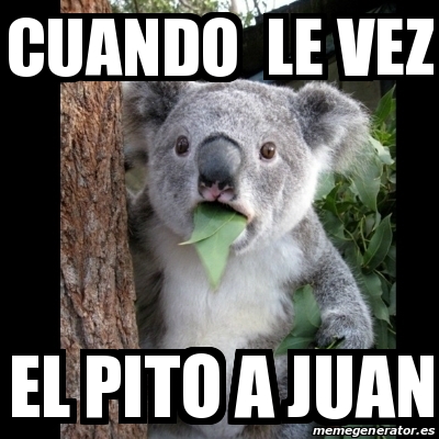 Meme Koala - cuando le vez el pito a juan - 25740403