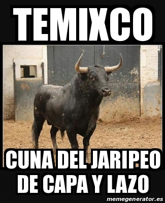 Meme Personalizado - Temixco Cuna del jaripeo de capa y lazo - 25089418