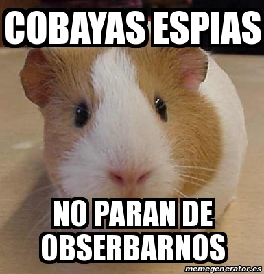 Meme Personalizado - cobayas espias no paran de obserbarnos - 25806895