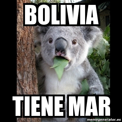 Meme Koala - bolivia tIENE MAR - 25872433