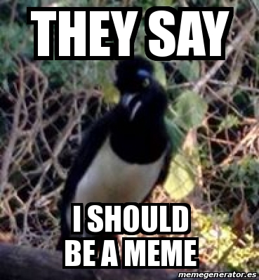 Meme Personalizado - they say i should be a meme - 25092785