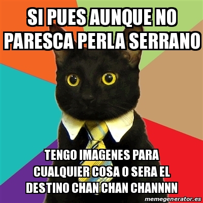 Meme Business Cat - Si pues aunque no paresca perla serrano tengo ...