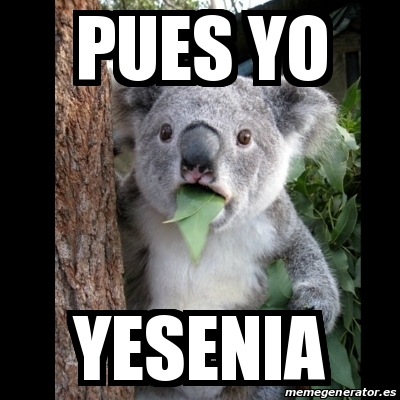 Meme Koala - pues yo yesenia - 25934752